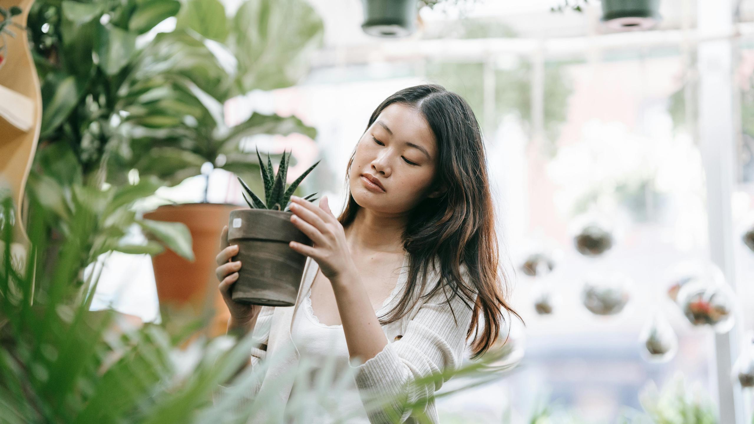 6 Model Pot Bunga Minimalis Terbaru, Cocok untuk Percantik Rumah Subsidi