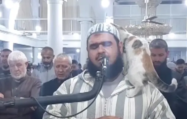 6 Potret Syska Bowie, Gadis Viral TikTok yang Punya Tinggi 179 Cm - Hot ...