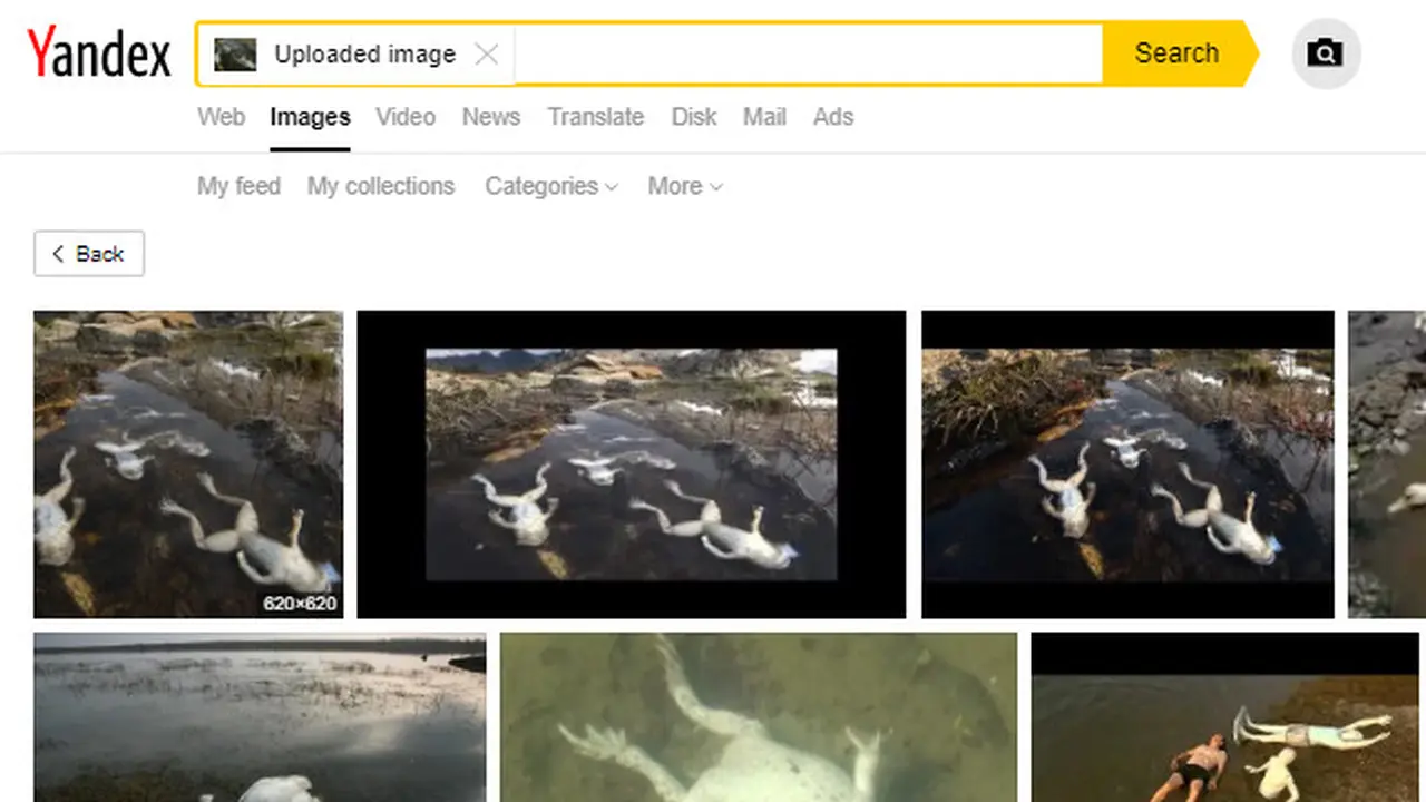 Cek Fakta: Hoaks Foto Katak Mati Korban COVID-19 - Cek Fakta Liputan6.com