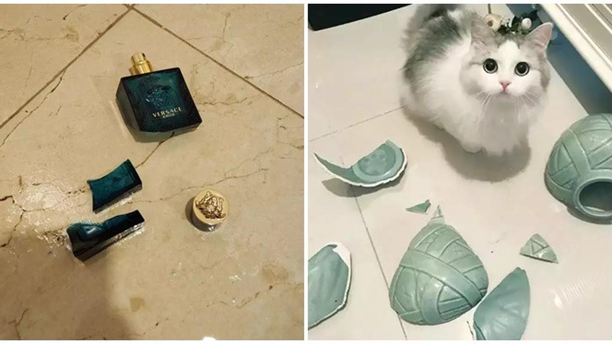 6 Momen Apes Produk Barang Mahal Pecah Ini Bikin Elus Dada - Hot ...