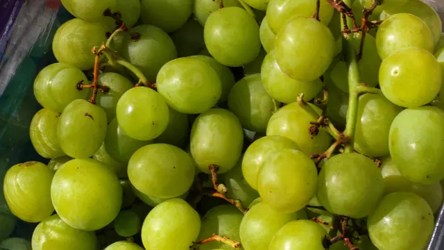 Simak Perbedaan Bentuk hingga Rasa Anggur Muscat dan Anggur Merah ...