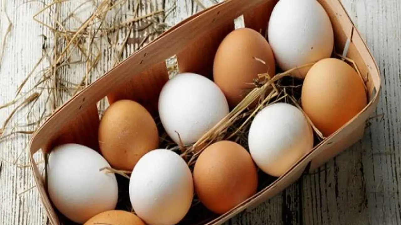 Harga Telur Hari Ini: Naik atau Turun? Cek Update Terkini - Hot Liputan6.com