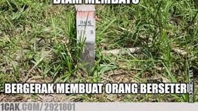 7 Meme Diam Bergerak Ini Banyak Terjadi di Dunia Nyata - Hot Liputan6.com