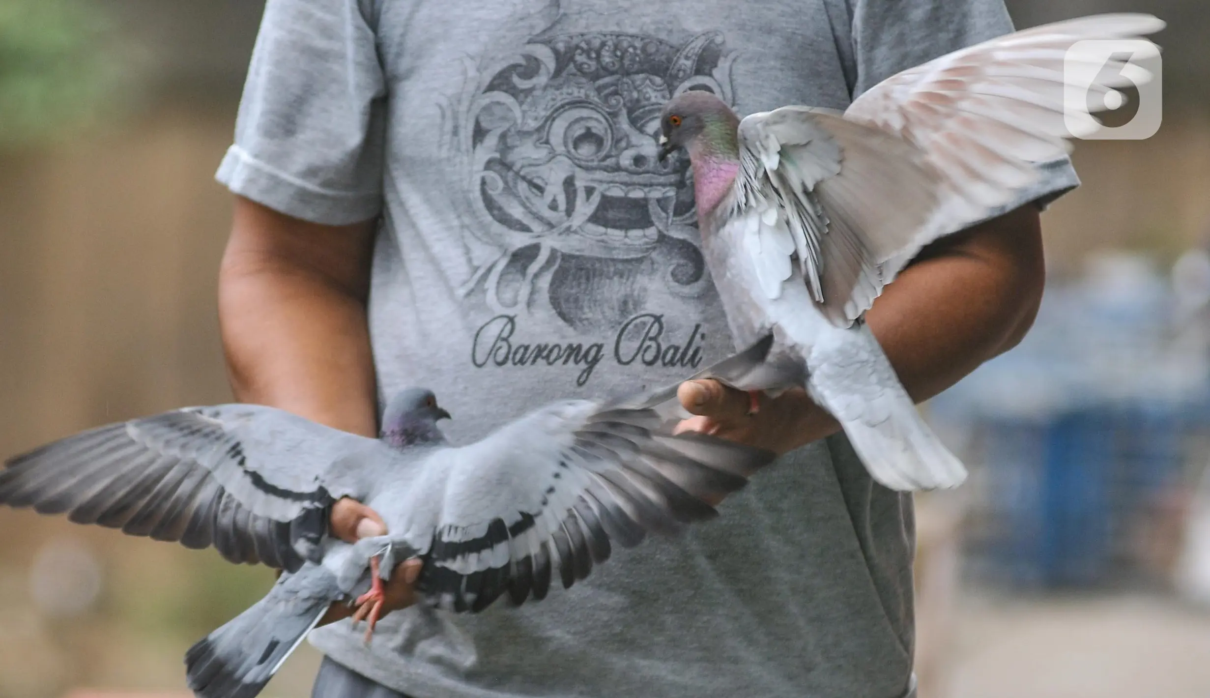 Bermain Burung di Bantaran Kali Ciliwung - Foto Liputan6.com