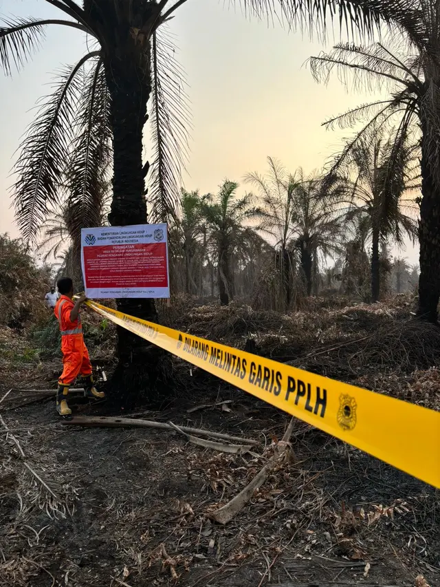 KLH Segel 4 Kebun Sawit dan 1 Pabrik Buntut Bencana Karhutla di Rokan Hilir Riau - Lifestyle ...