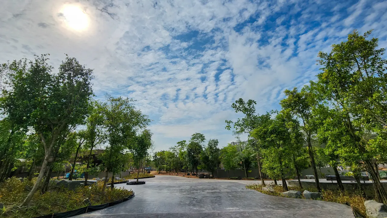 Ada Apa Saja di Bird Paradise, Taman Burung Baru di Singapura ...
