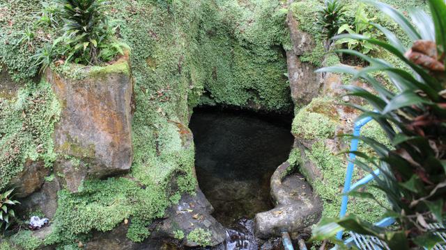 Mengenal Arboretum Titik Nol Sungai Brantas dan Keanekaragaman Hayatinya