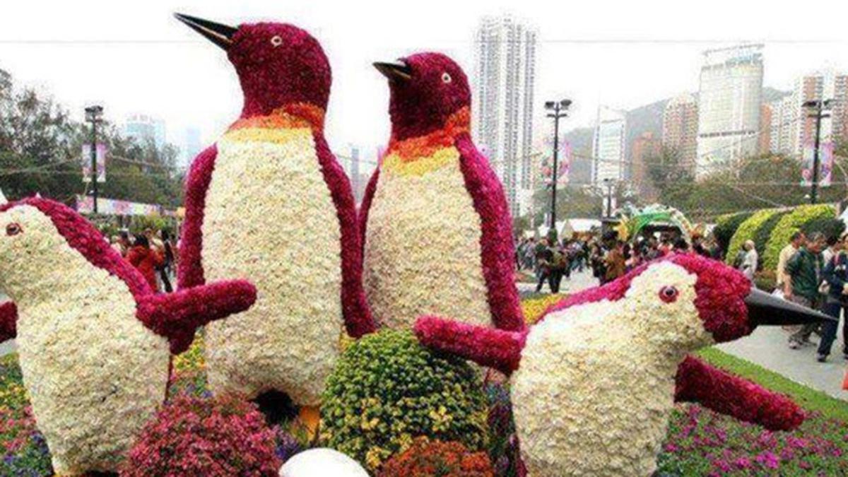 Tanamannya Dipangkas Membentuk Hewan: Taman Bunga Ini Keren Abis