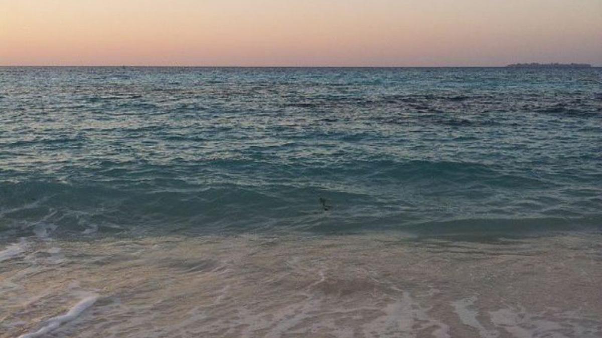 Tertegun Indahnya Gradasi Air Laut di Pulau Lanjukang - Lifestyle ...