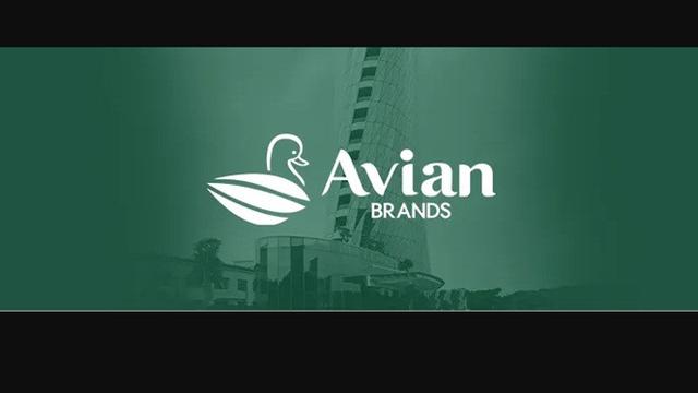 Avian Raup Penjualan Rp 1,8 Triliun pada Kuartal I 2023 - Saham ...