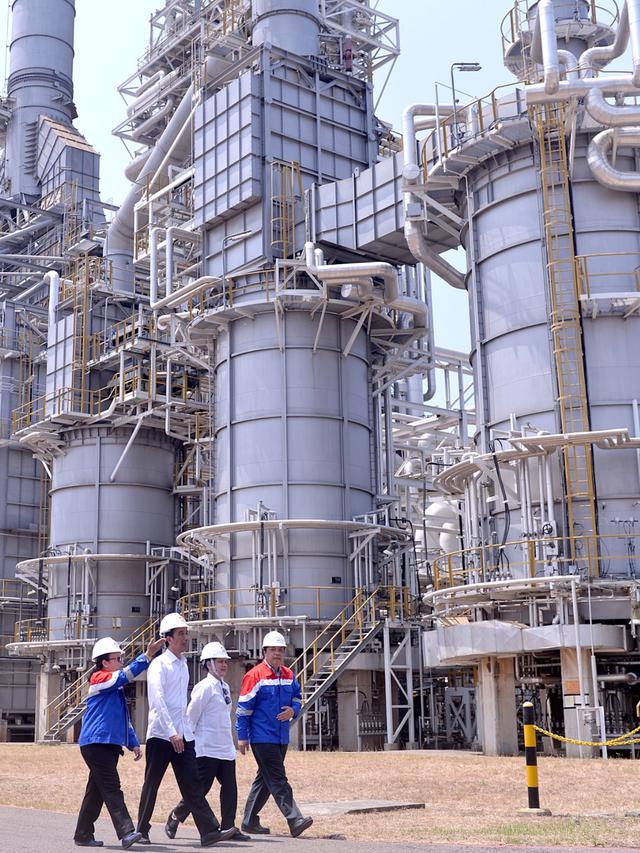 Pemerintah Berencana Hidupkan Kembali Kilang TPPI - Bisnis Liputan6.com