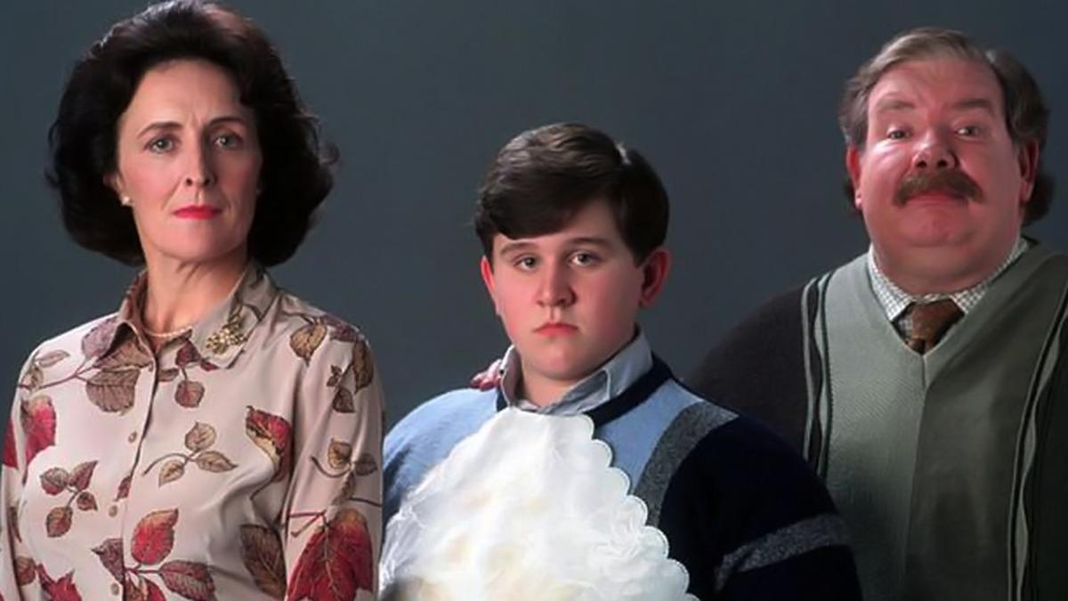 Alasan di Balik Kebencian Keluarga Dursley Pada Harry Potter