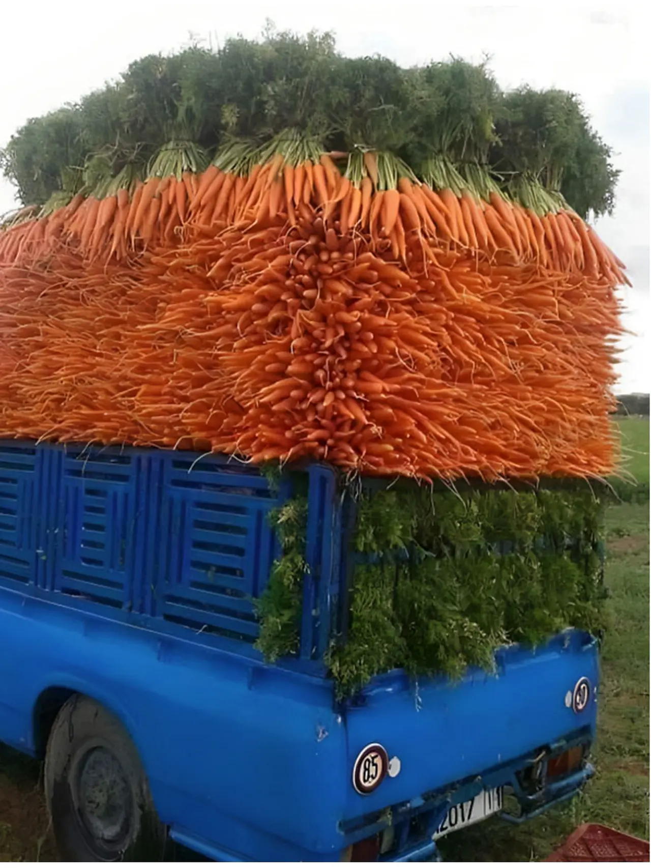 6 Potret Makanan Tersusun Rapi Sesuai Warna Ini Bikin Enak Dipandang ...