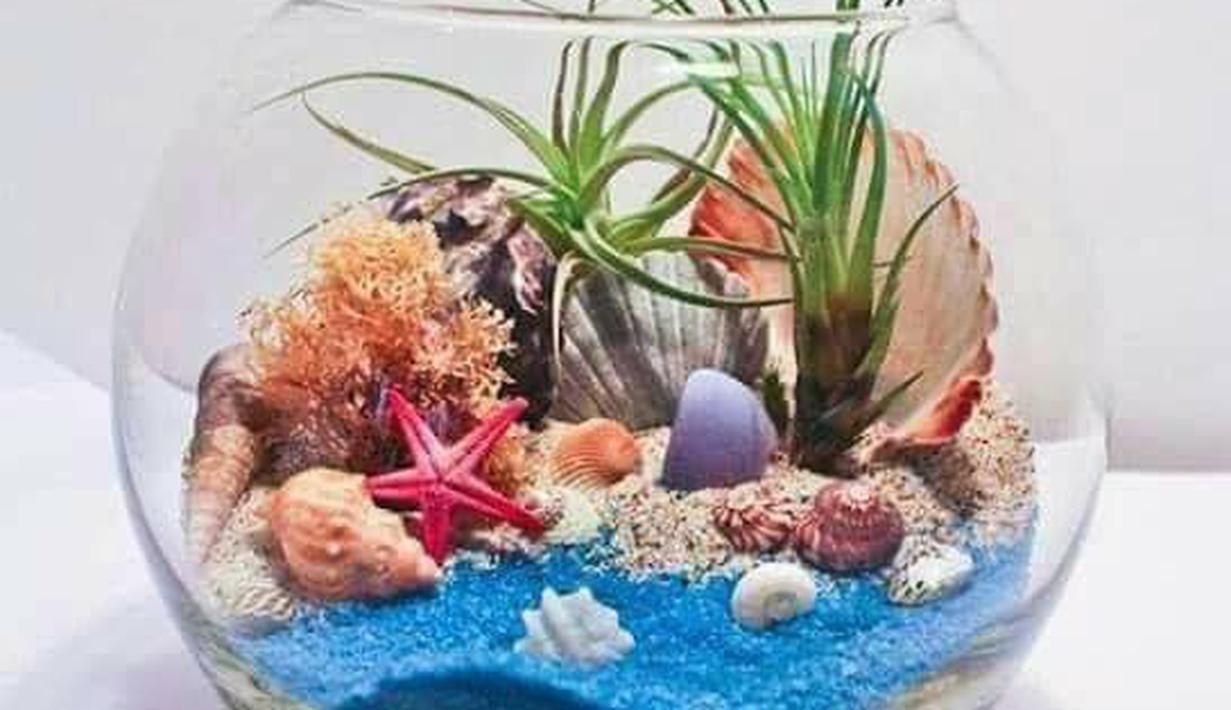 Inspirasi Terarium Cantik Untuk Menghias Meja Kerja - Photo Fimela.com