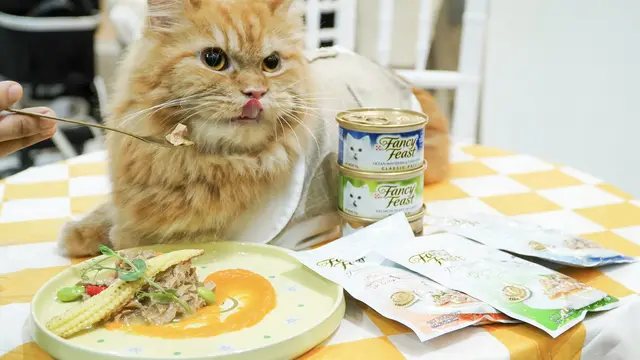 Kerap Diabaikan, Ini Manfaat Baik Sajikan Makanan yang Menarik untuk ...