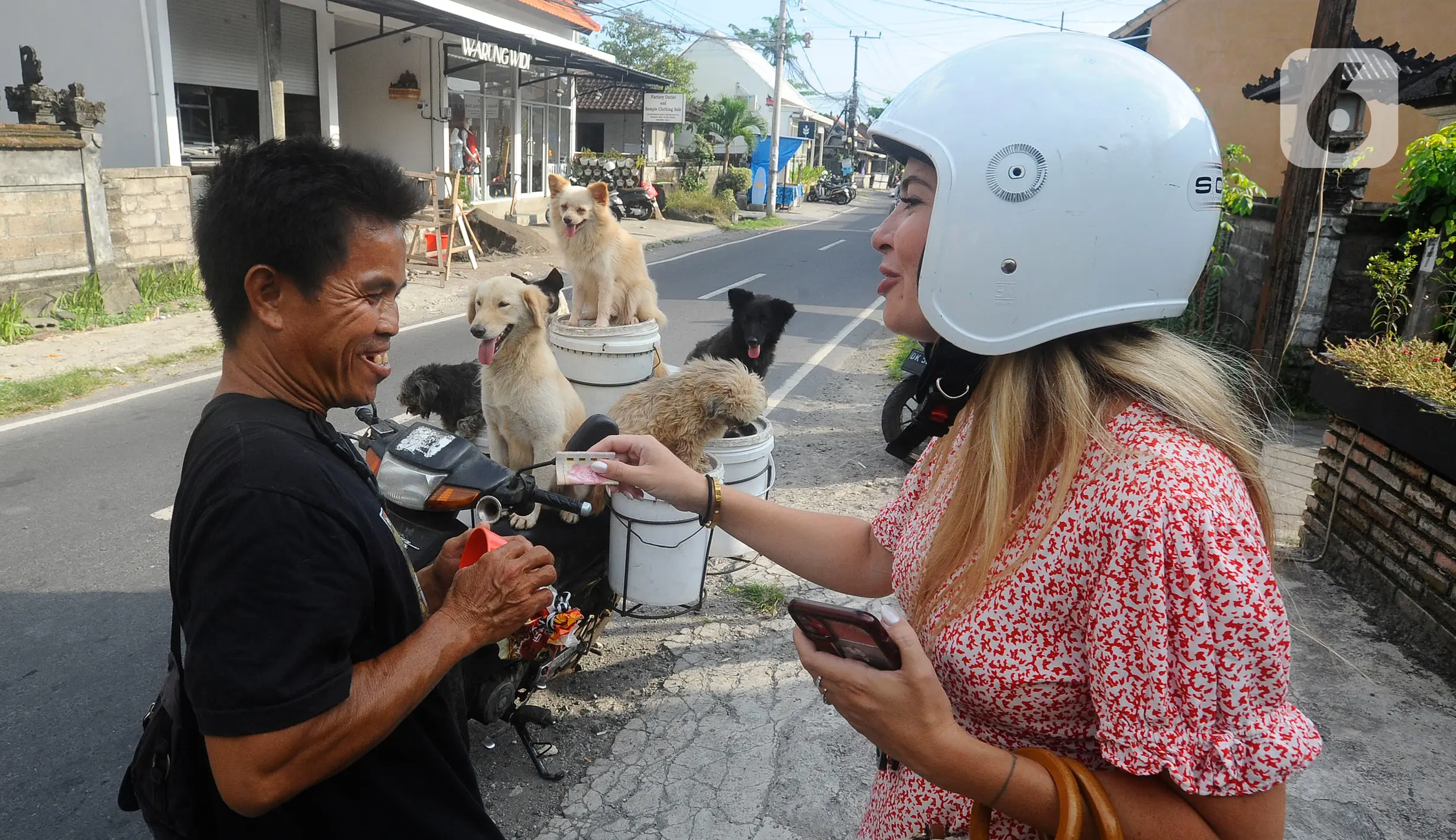 Sehari Bersama Ketut Lelut, Pria di Bali yang Rawat Puluhan Anjing - Foto Liputan6.com