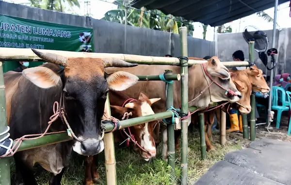 Panduan Lengkap Teknik Sampling dalam Penelitian, Pahami Pengertian dan ...
