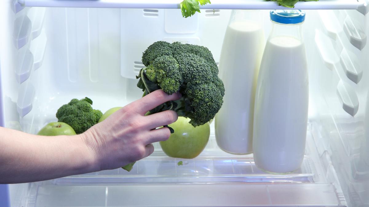 Tips Mencuci Sayur Brokoli Agar Bebas Ulat dan Pestisida