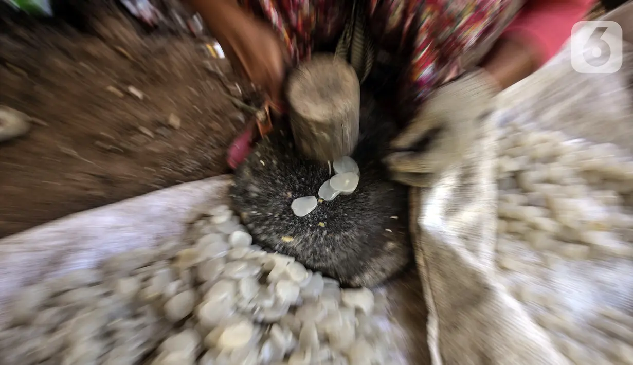 FOTO: Geliat Petani Kolang-Kaling di Kaki Gunung Salak - Foto Liputan6.com
