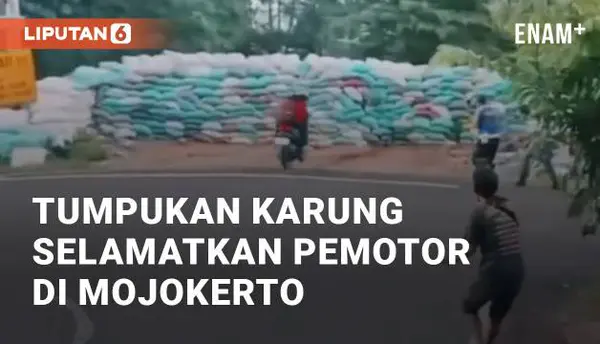 5 Cara Mengenali Kurma Israel yang Diharamkan MUI, Cermati Baik-Baik - Hot Liputan6.com