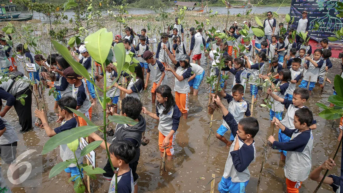 Berita SDN Pluit 03 Muara Angke Hari Ini - Kabar Terbaru Terkini ...