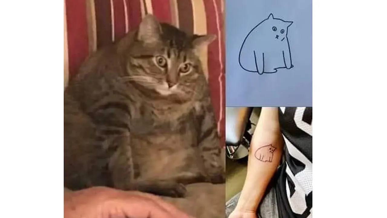 6 Tato Bentuk Kucing Ini Bentuknya Nyeleneh, Bikin Ngakak - Hot ...