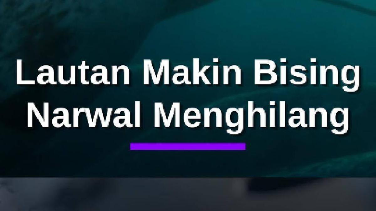 Kebisingan Kapal Diduga Ganggu Narwal di Perairan Arktik
