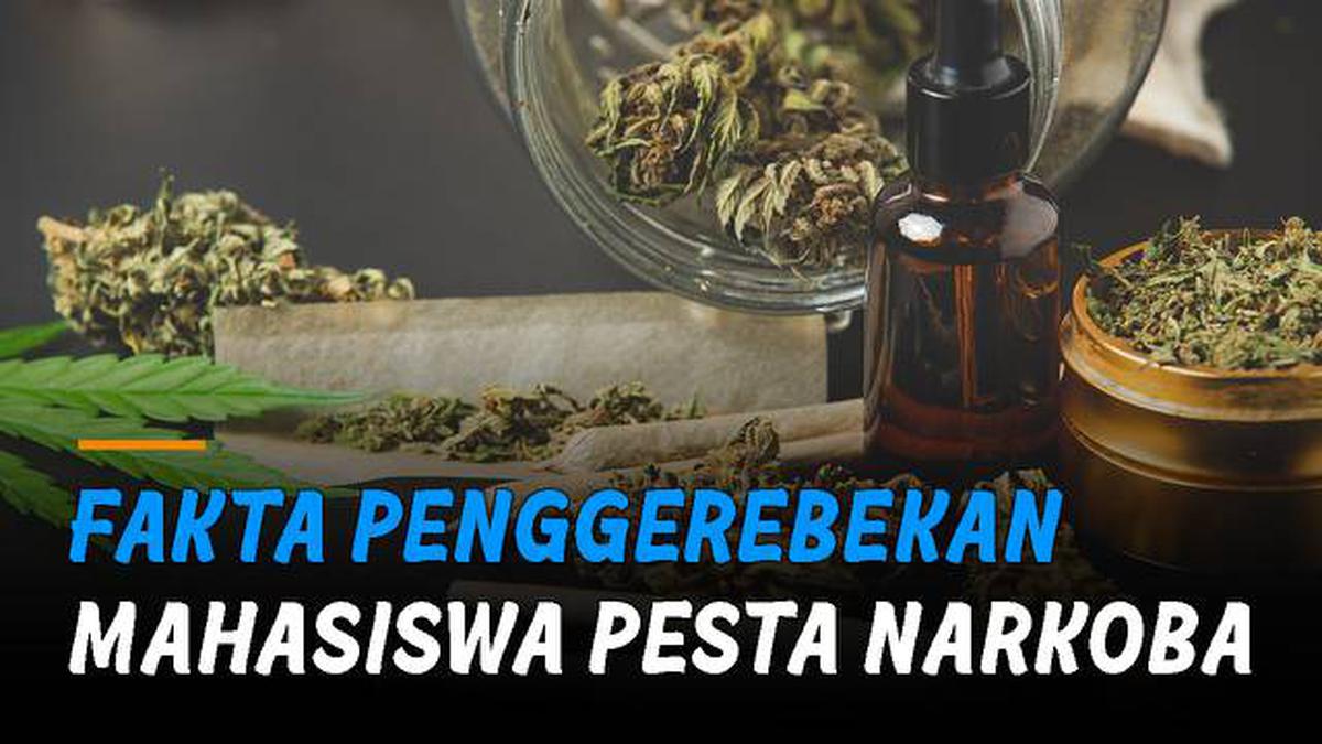 Berita Mahasiswa Pesta Narkoba Hari Ini Kabar Terbaru Terkini