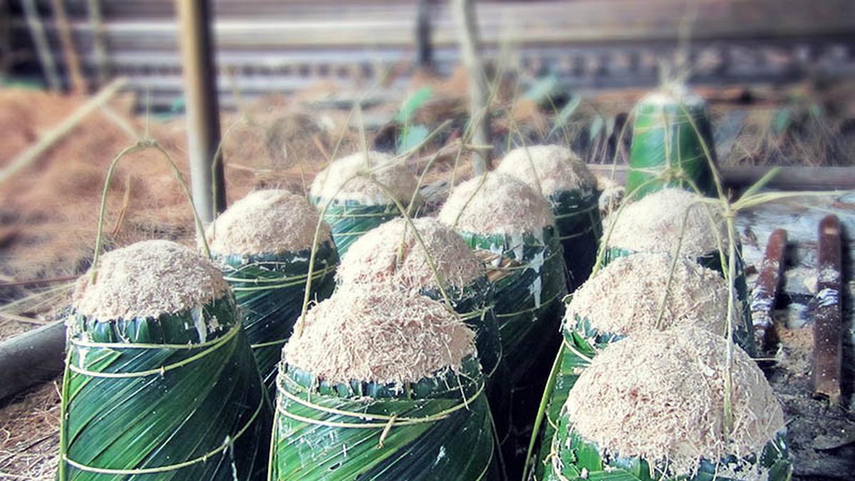 Lompong Sagu, Kue Tradisional Khas Minang