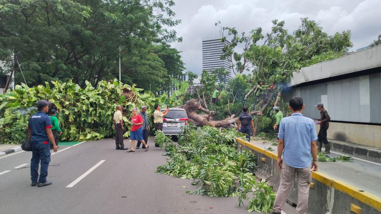 Penyebab MRT Jakarta Gangguan: Pohon Tumbang di Dekat Stasiun Senayan ...