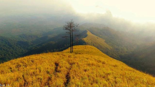 6 Fakta Menarik Gunung Wilis yang Sempat Dilalui Jenderal Sudirman ...