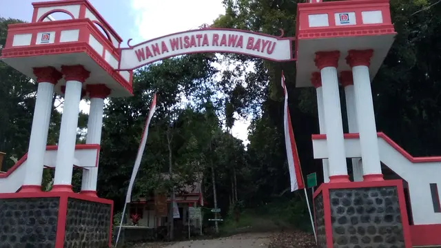 Sejarah Rowo Bayu Banyuwangi, Disebut Sebagai Lokasi Desa Penari Asli ...