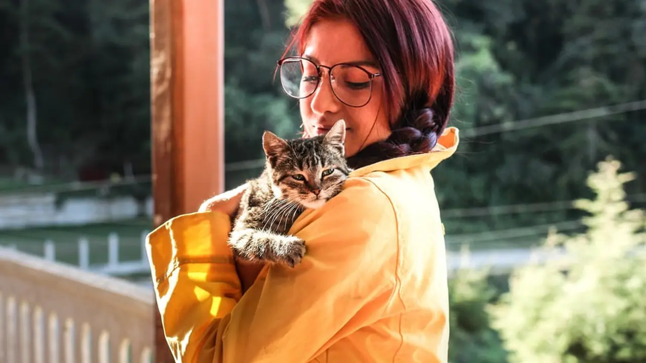 Pencinta Kucing atau Anjing? Ini Kepribadian Seseorang Dilihat dari ...