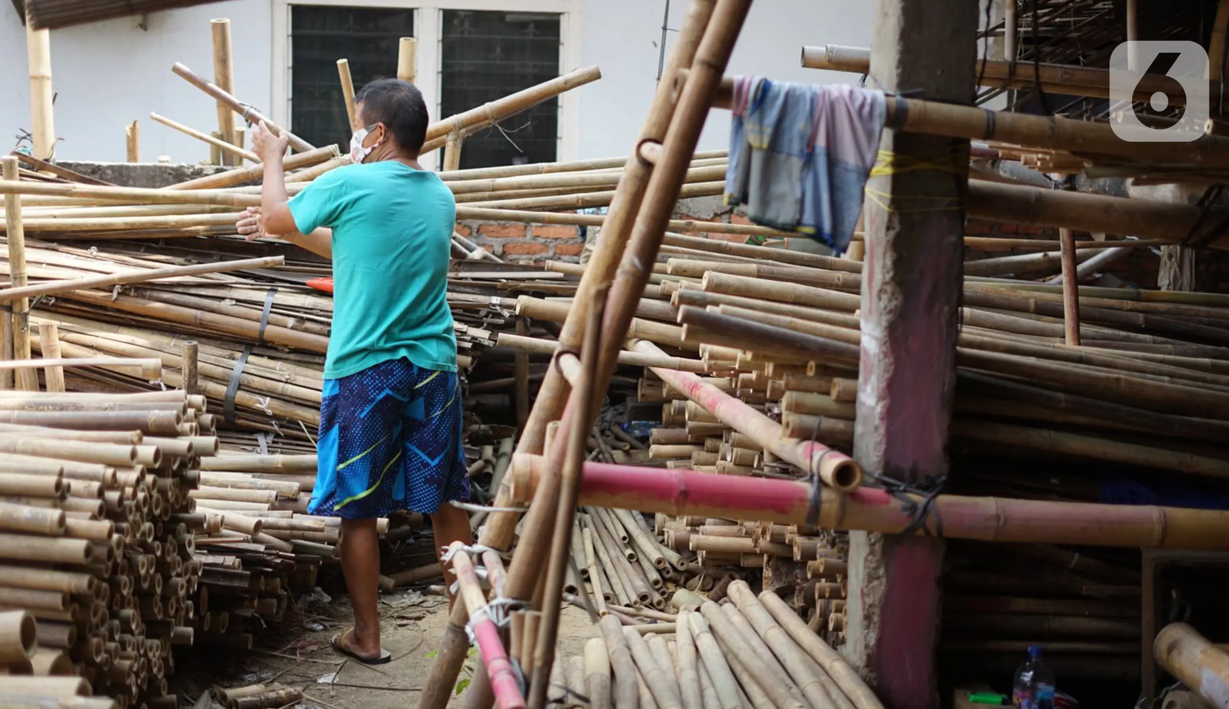 FOTO: Penjualan Bambu untuk Tiang Bendera Lesu Terimbas Corona - Foto ...