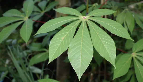 Memahami Arti Piutang: Definisi, Jenis, dan Pengelolaannya - Feeds ...