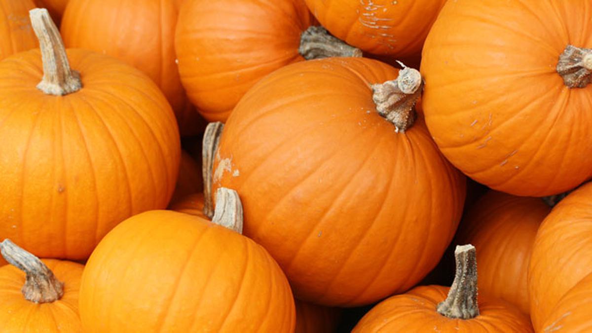 Labu Bagus Buat Diet, Hebat untuk Anti HIV - Health Liputan6.com