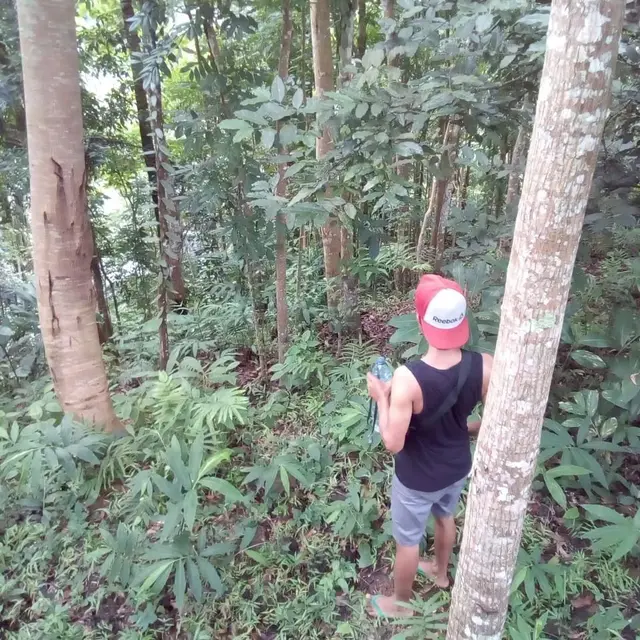 HEADLINE: Penyelesaian Konflik di Desa Wadas Purworejo, Jalan Tengahnya ...