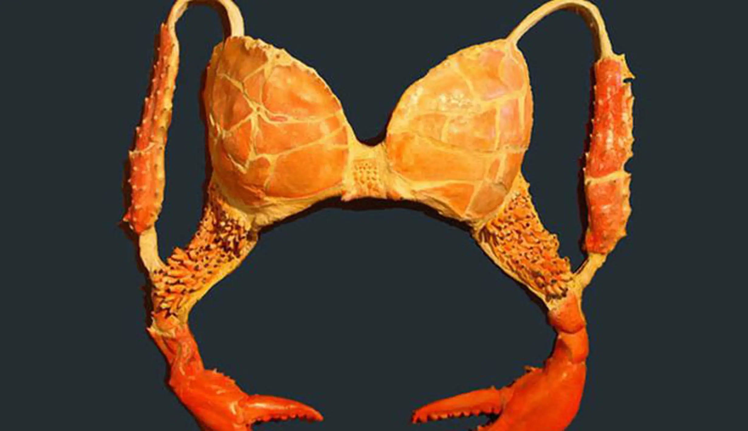 10 Bra Aneh Yang Membuat Anda Ngeri Memakainya