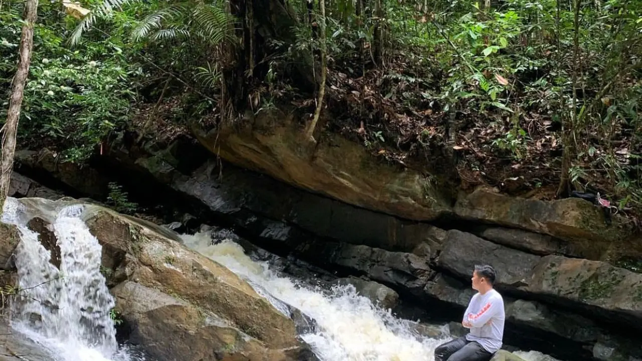 6 Fakta Menarik Gunung Lumut di Kalimantan Timur, Surga Lumut Dunia ...