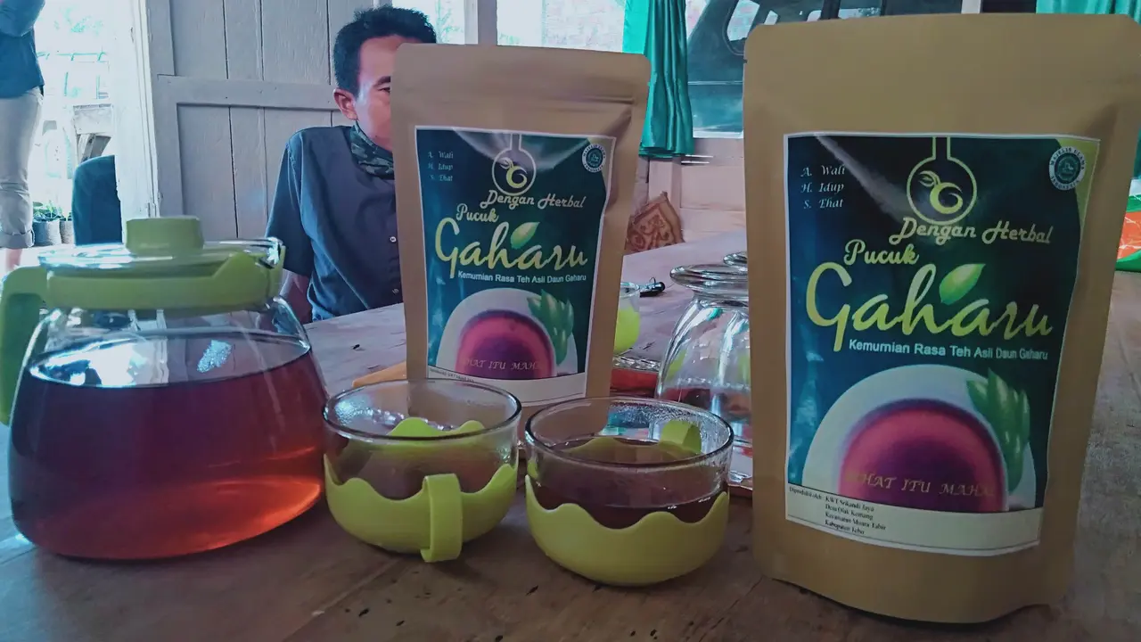 Teh Gaharu, Mahakarya Tangan Terampil Petani Tebo Jambi - Regional ...