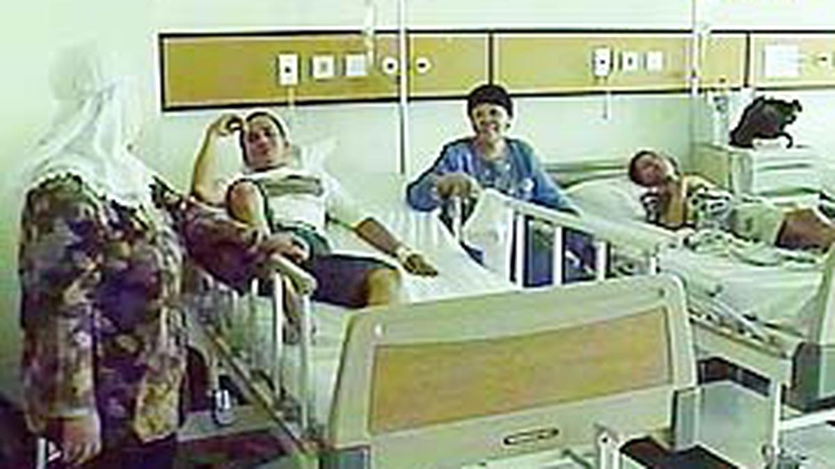 Jakarta Belum Bebas DBD - News Liputan6.com