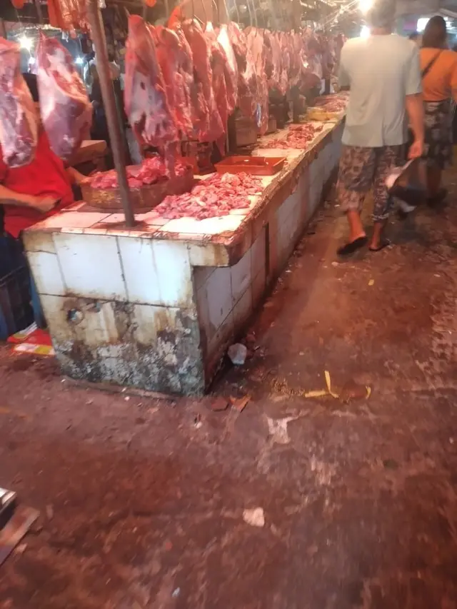 Bos ID Food: Perlu Impor Sapi Perah hingga 2,5 Juta Ekor untuk Program ...