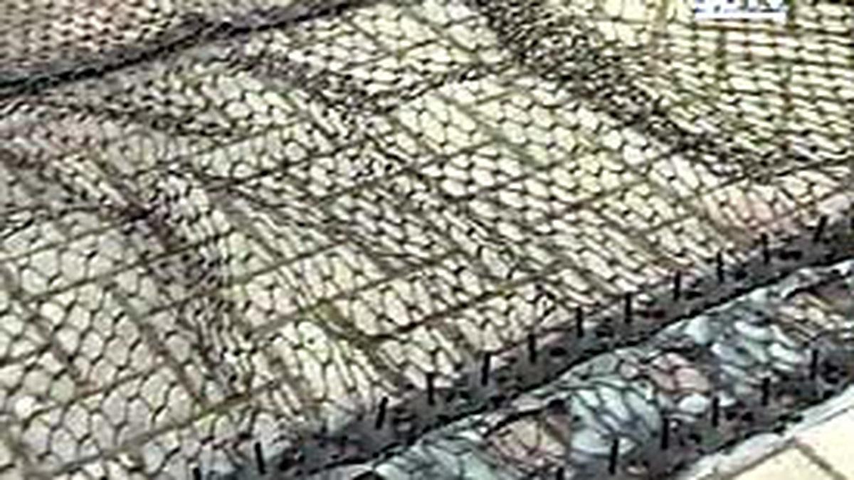 X-Net, Jaring Berduri Perangkap Mobil - Global Liputan6.com