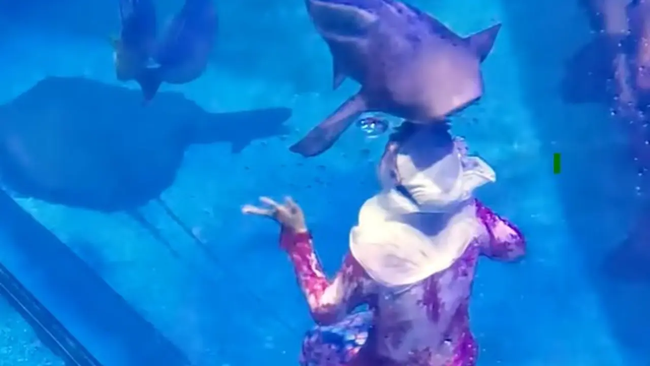 Momen Lucu Ria Ricis Jadi Mermaid di Akuarium, Nabrak Ikan Hiu