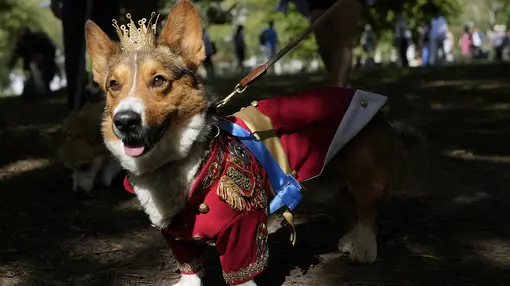 4 Bangsawan Ini Jadi Saksi Pengulangan Sejarah Penobatan Kerajaan ...