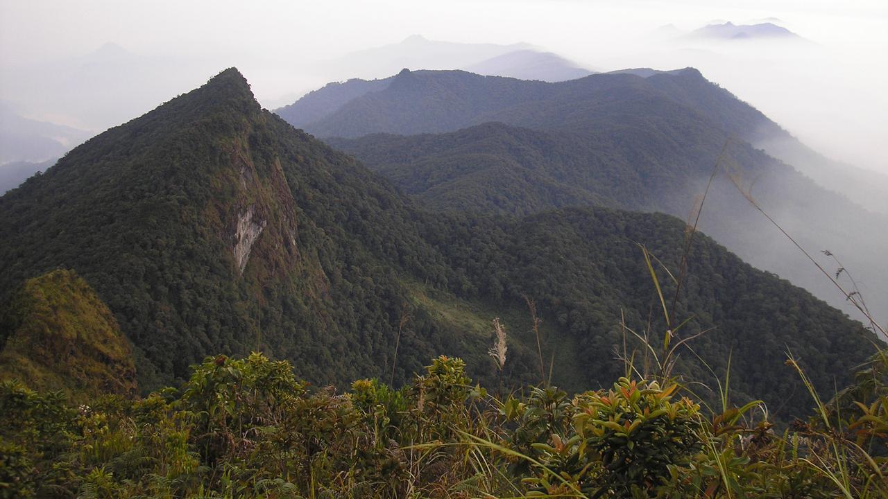6 Fakta Menarik Gunung Halau-Halau di Kalimantan Selatan yang Dianggap ...