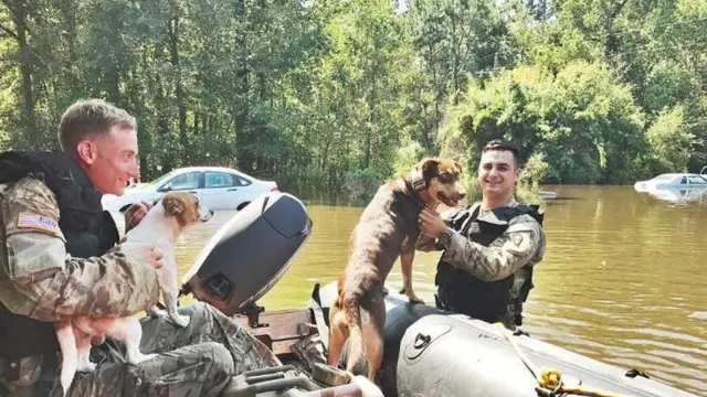 Anaknya Jadi Penyelamat Korban Badai Harvey, Ini Reaksi Andy /rif ...
