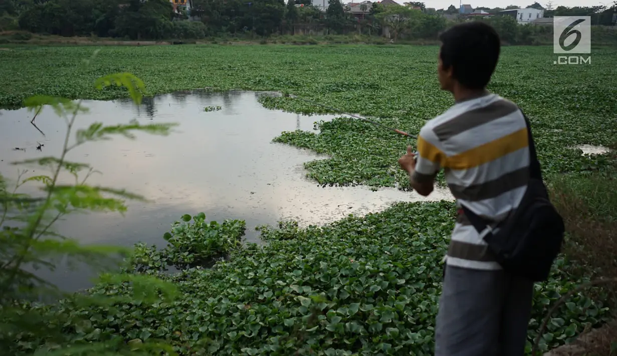 FOTO: Setu di Depok Jadi Lautan Eceng Gondok - Foto Liputan6.com