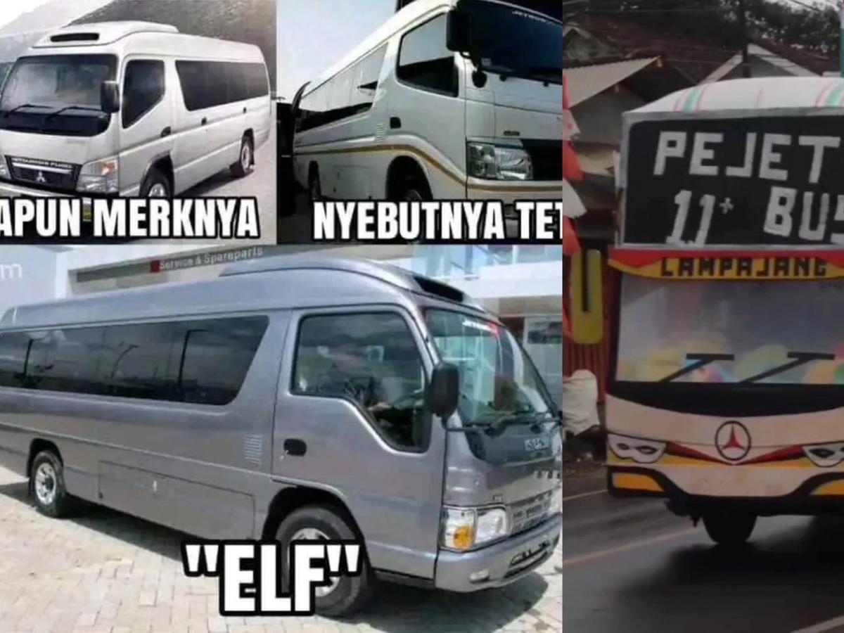 Memes Bus Terbaru