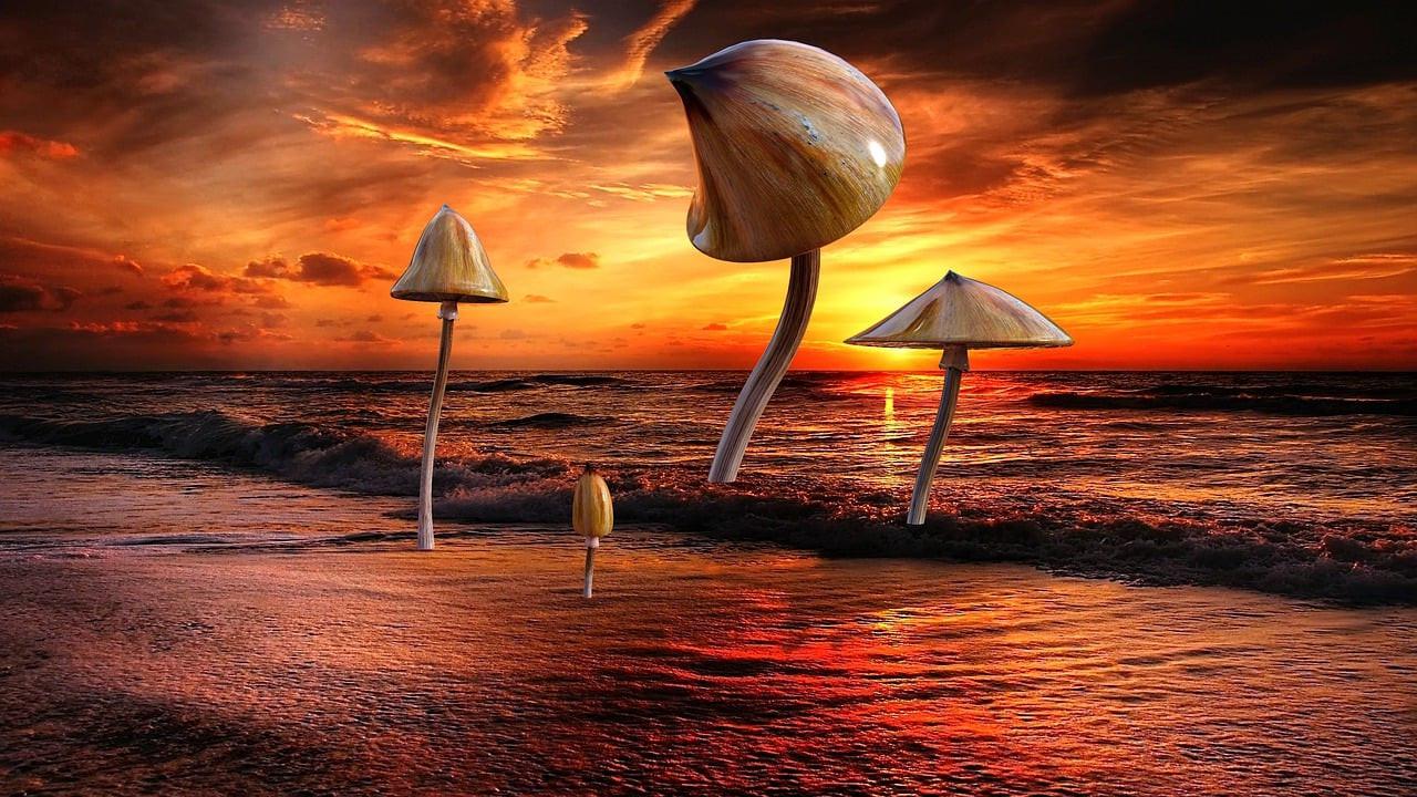 Mengenal LSD, Pahami Bahaya dan Dampak Zat Psikedelik Berbahaya Ini